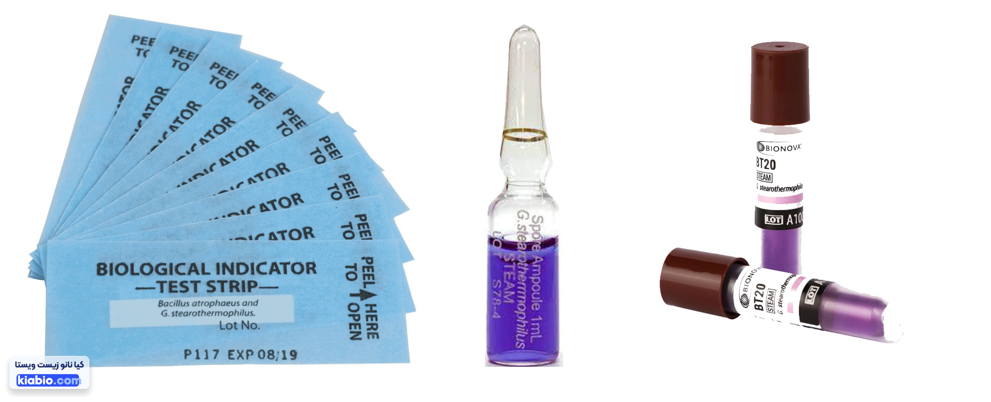 انجام آزمون صحه گذاری اندیکاتورهای بیولوژیکی | کیا نانو زیست ویستا